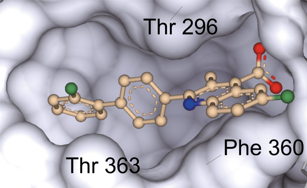 News - Conrad Laboratory